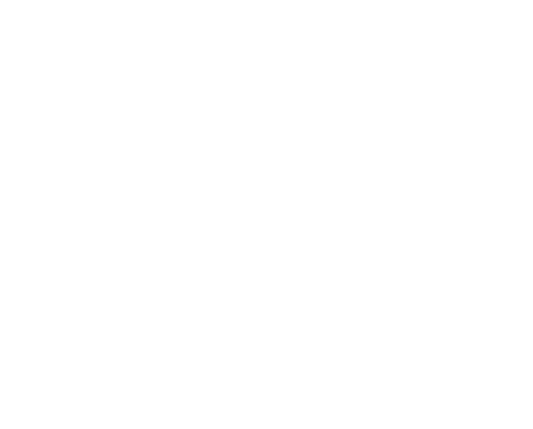 Springer Orthodontics